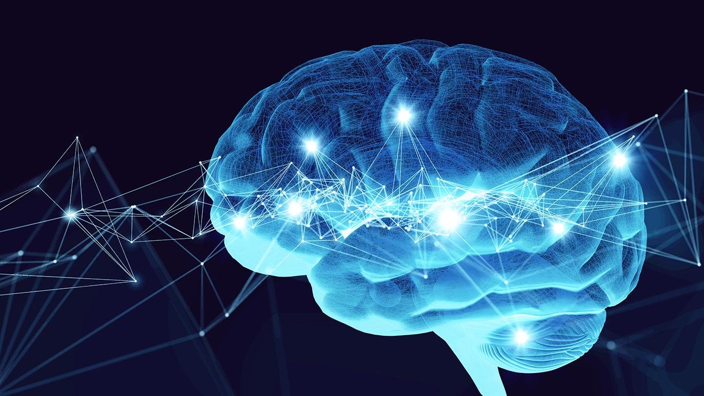 Critical Inner Workings of the Human Brain: Understanding 2024